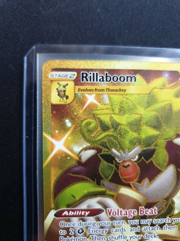 Rillaboom 197/189 - Pokemon Card - Darkness Ablaze TCG - Pack Fresh ...