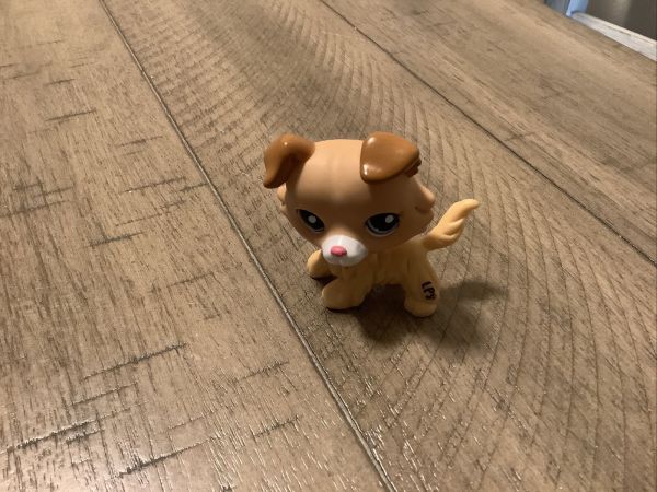 AUTHENTIC LITTLEST PET SHOP LPS DOG COLLIE 2452 | #68173184