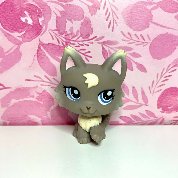 AUTHENTIC LPS Littlest Pet Shop 1411 Gray Persian Wolf Cat Blue Eyes ...