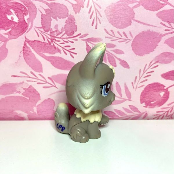 AUTHENTIC LPS Littlest Pet Shop 1411 Gray Persian Wolf Cat Blue Eyes ...