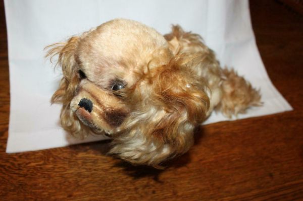 Vintage Steiff Peky Mohair Dog With Button And Paper Tag 13 " | #68853964