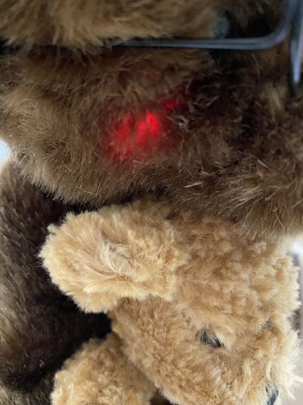 DanDee Plush Grandpa Bear Reading Twas The Night Before Christmas ...