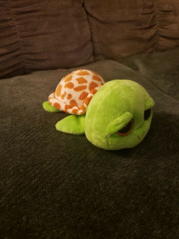 Ty Beanie Boos ZIPPY The Sea Turtle 6 " Plush Toy Animal With Tag ...